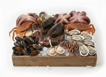 How to Store Seafood: Fridge & Freezer Shelf Life Chart – Intershell ...