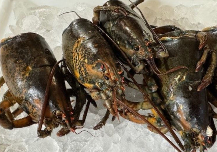 Lobster Roe & Lobster Bodies – Intershell Seafood