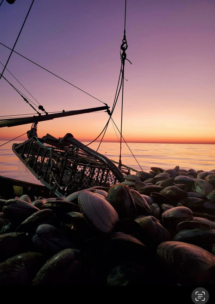 Intershell Fishing Fleet | Surf Clam & Scallop Boats from New England ...