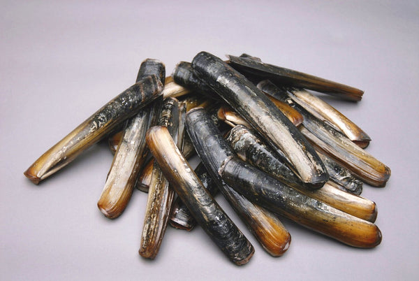 Bulk Live Razor Clams - 10 Lb – Intershell Seafood