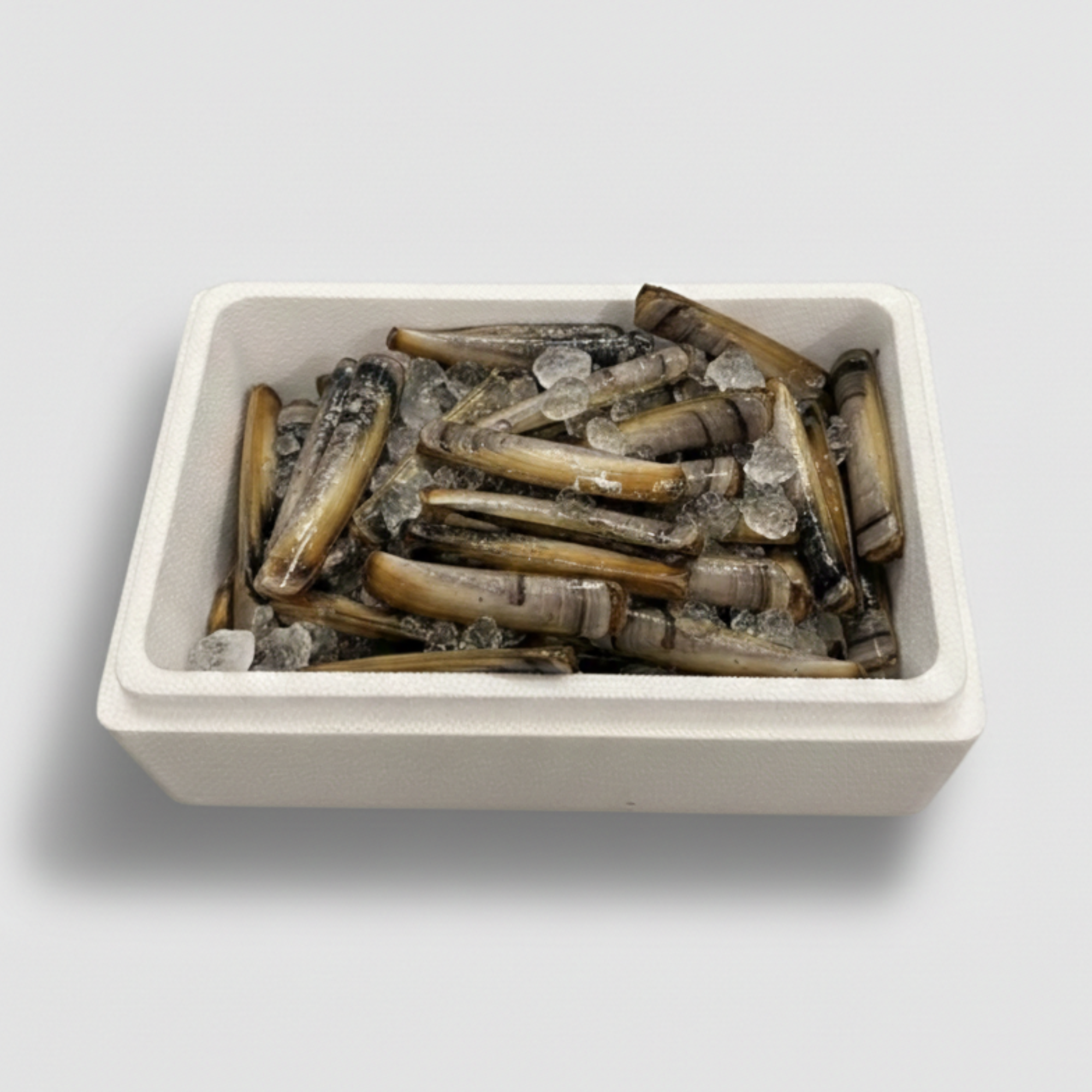 Bulk Live Razor Clams - 10 Lb – Intershell Seafood