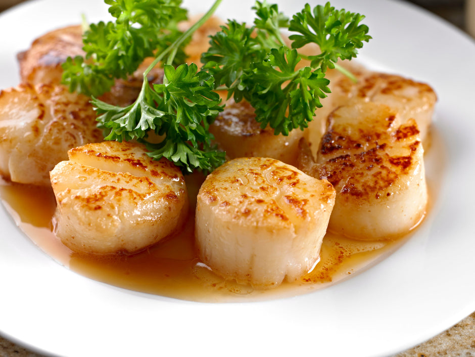 The Ultimate Guide to Live Scallops: Shucking, Storage, and Sashimi ...