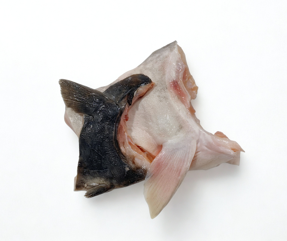 Halibut Collars: Buttery, Rich & Flavorful Cut – Intershell Seafood