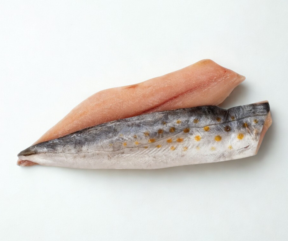 Spanish Mackerel Fillets | Rich in Omega-3s, Individually Frozen ...