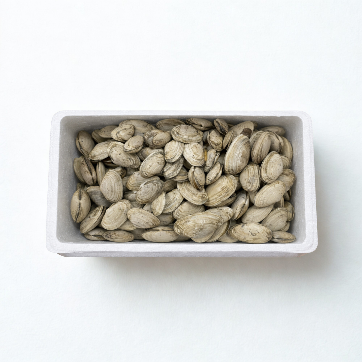 Wholesale Soft Shell Clams (Steamers) | Intershell – Intershell Seafood