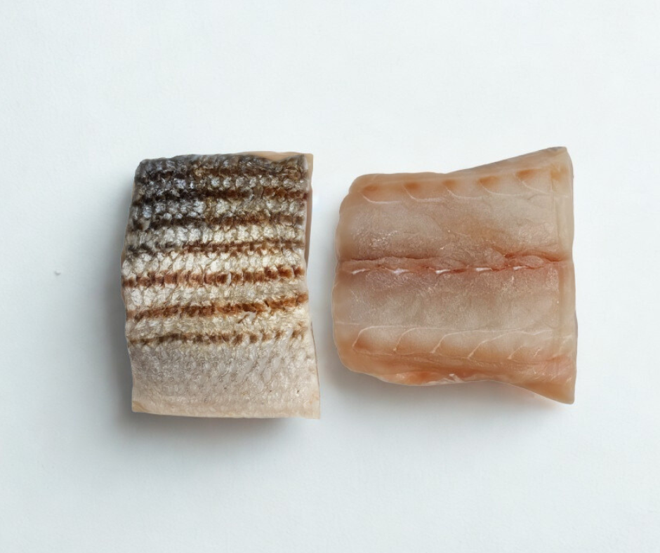 Fresh New England Wild Striped Bass - Limited Summer Catch - Buy Bass ...